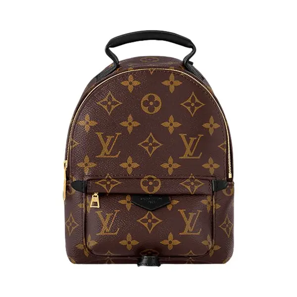LOUIS VUITTON Palm Springs Mini Backpack - Brown