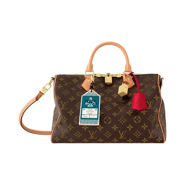 LOUIS VUITTON Speedy Soft 30