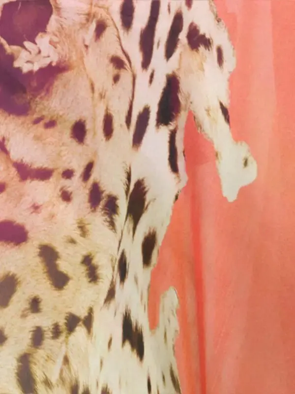 Roberto Cavalli Leopard Print Beachwear