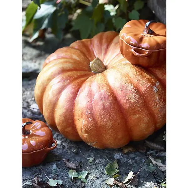 STAUB Pumpkin Cast-iron And Enamel Cocotte 12cm