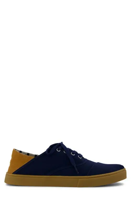 Toms Cordones Plus Sneaker - Navy
