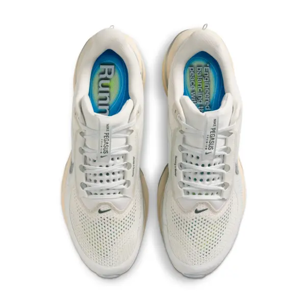Nike Pegasus Premium Road Running Shoes - Grey