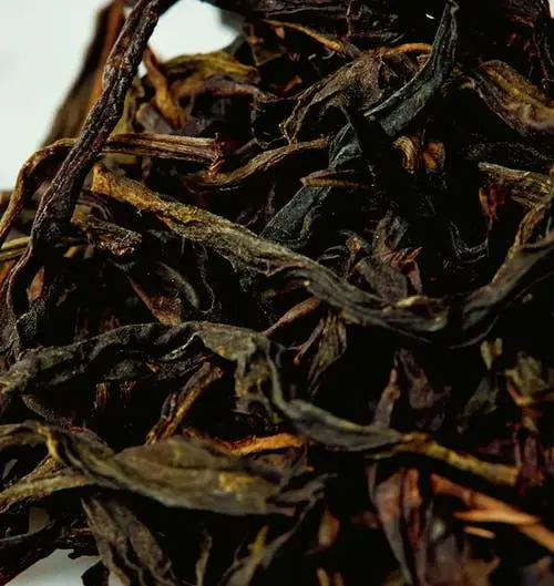 SAMOVAR TEA Golden Phoenix Oolong Tea - None