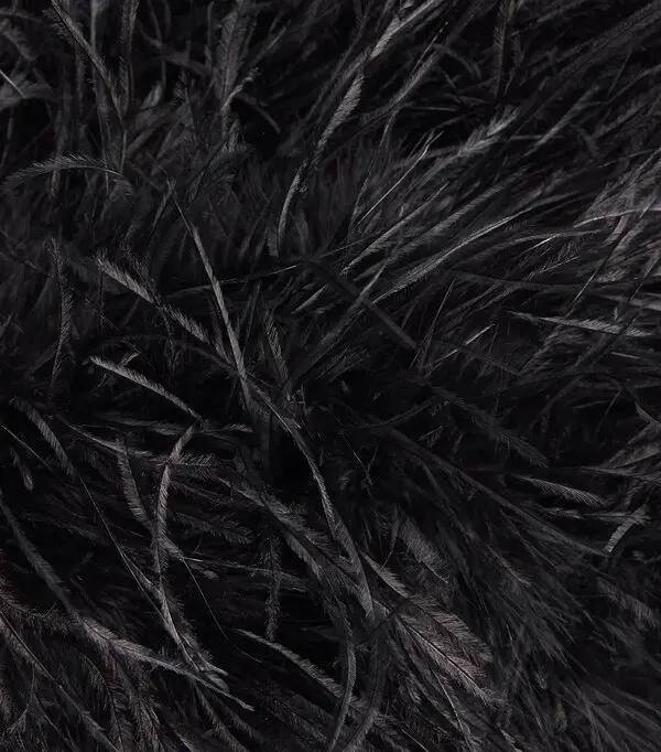 YVES SALOMON Ostrich Feather Evening Jacket