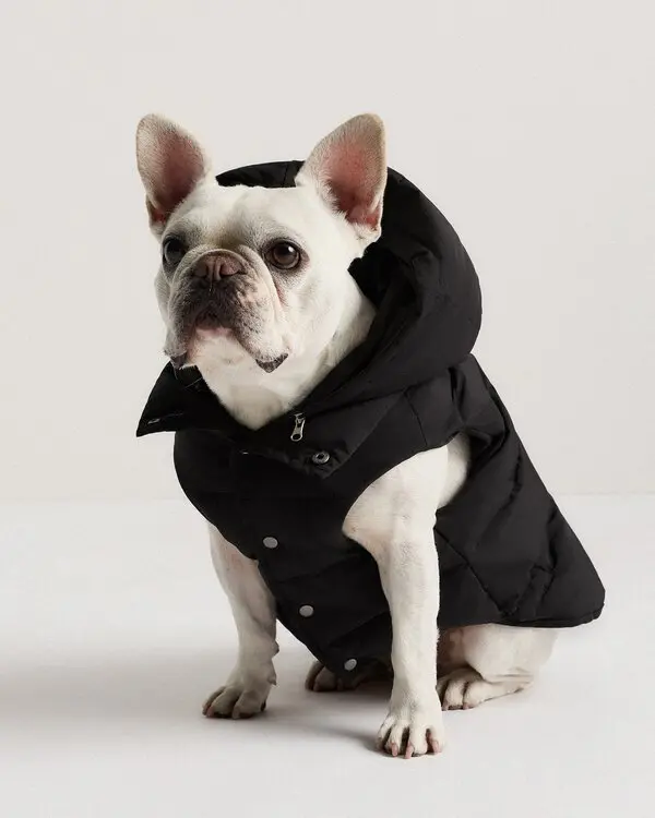 Quince Waterproof Dog Puffer Jacket