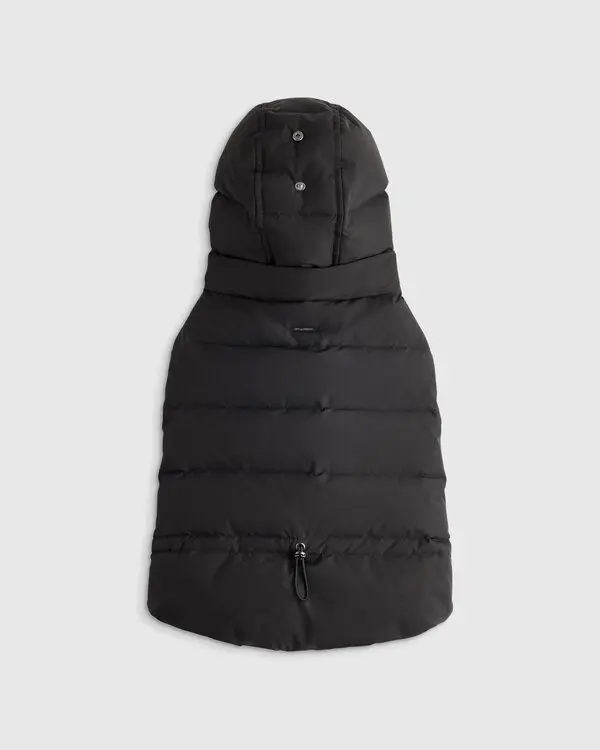 Quince Waterproof Dog Puffer Jacket