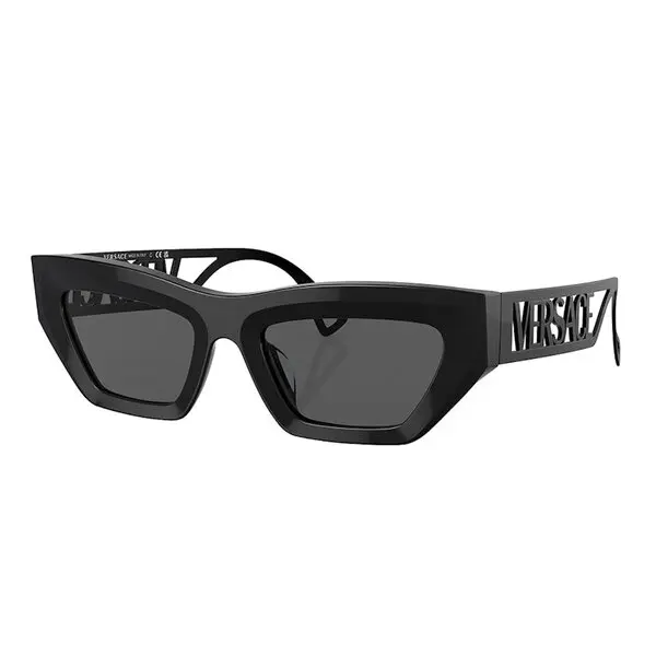 Versace Fashion Frame Sunglasses - Black (ve_4432u_523287_53mm)
