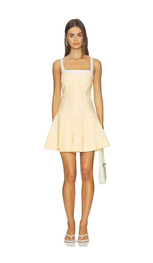 Simkhai Tyler Bustier Mini Dress - Buttercream Stripe