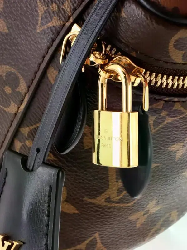 LOUIS VUITTON Vanity Handbag Reverse Monogram Canvas Pm Satchel