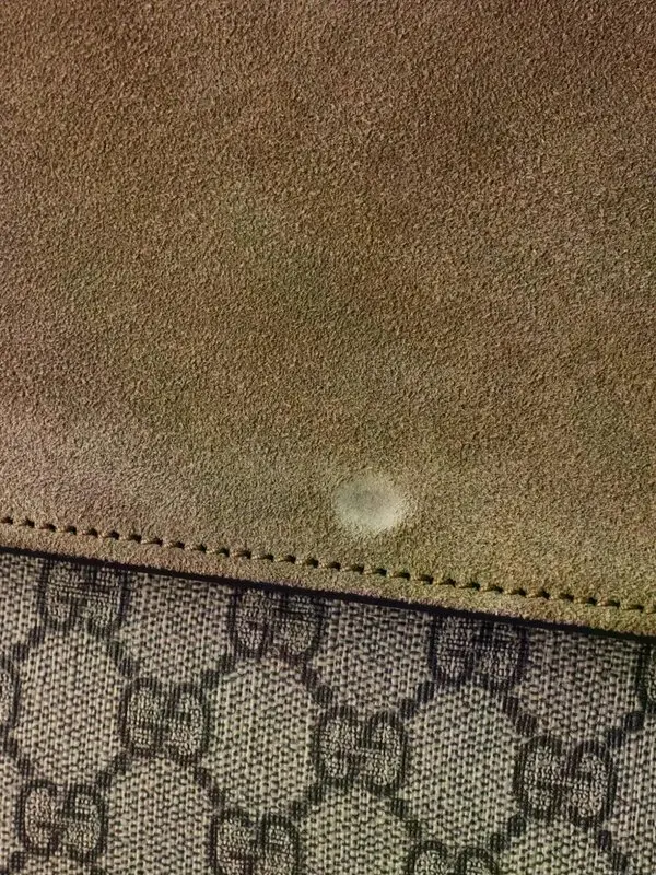 Gucci Dionysus Gg Coated Canvas Medium Shoulder Bag