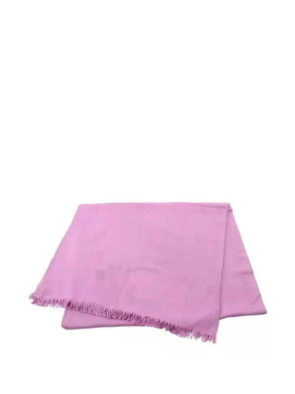 Hermès 2010s Fringed Shawl - Purple