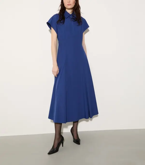 Max & Co. Cotton Shirt Midi Dress