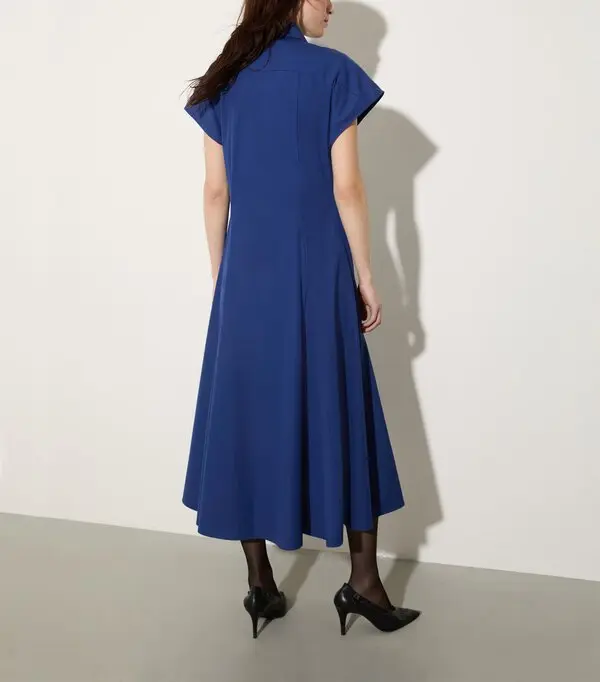 Max & Co. Cotton Shirt Midi Dress