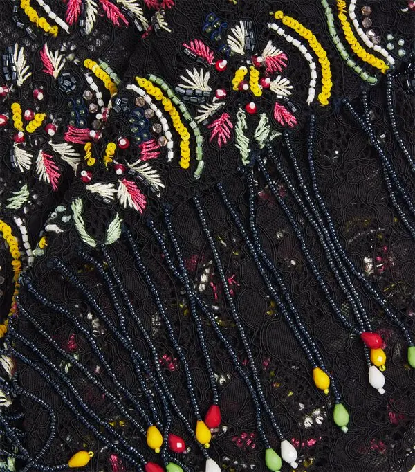 Etro Embroidered Lace Scarf - Black