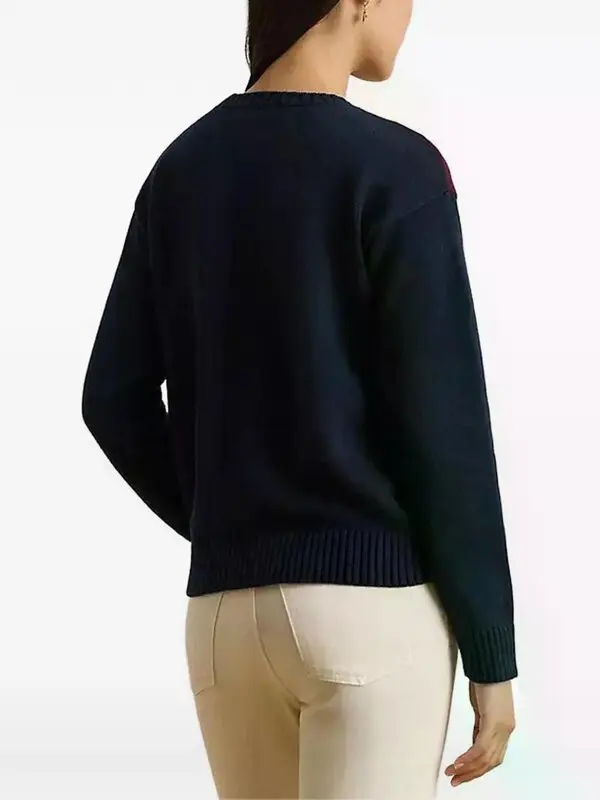 Ralph Lauren Crew-neck Long-sleeve Sweater - Blue