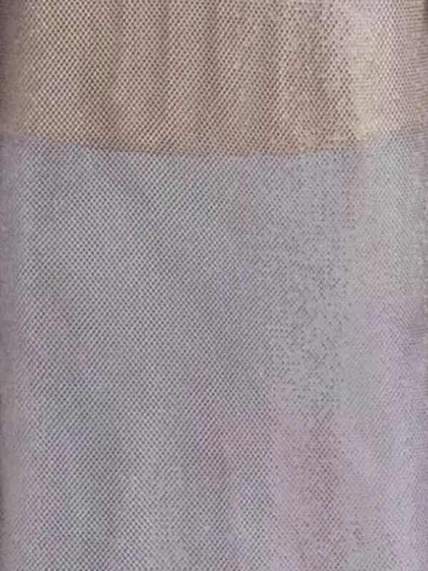 Alberta Ferretti Long-sleeve Sheer Dress