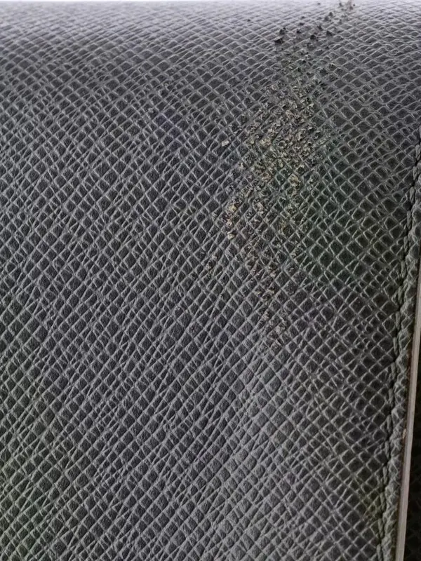 LOUIS VUITTON Vassili Handbag Taiga Leather Pm