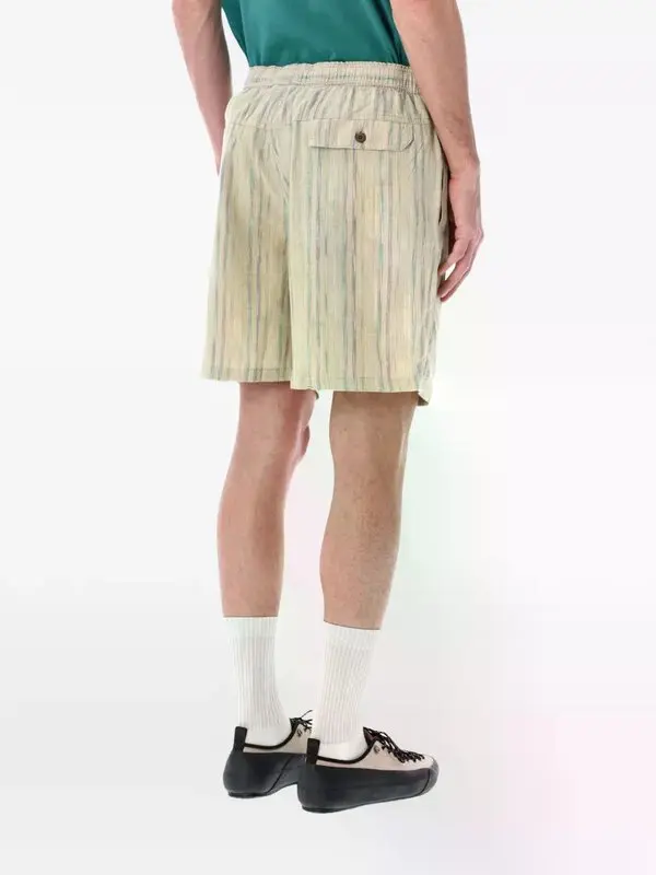Patagonia Striped Baggies™ Drawstring Shorts