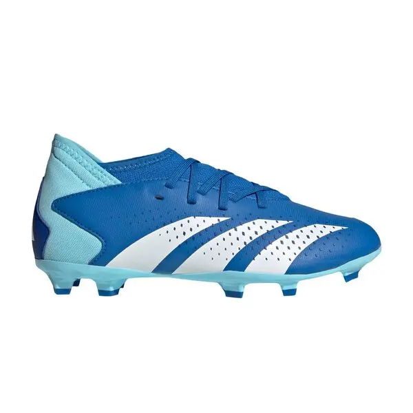 Adidas Predator Accuracy.3 Fg J - Blue