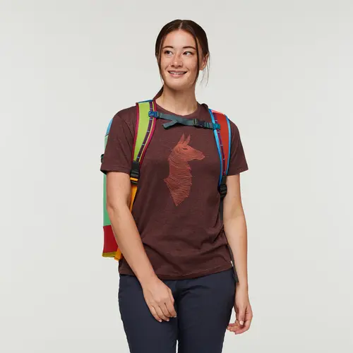 COTOPAXI Hielo 24l Cooler Backpack