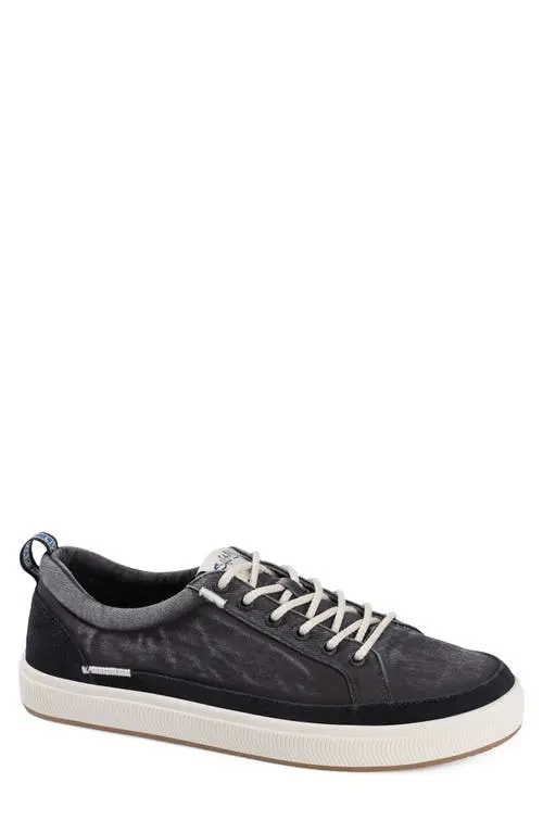 SALT LIFE The Coast Sneaker - Black
