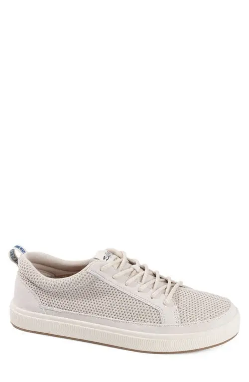 SALT LIFE The Coast Sneaker - Taupe/taupe