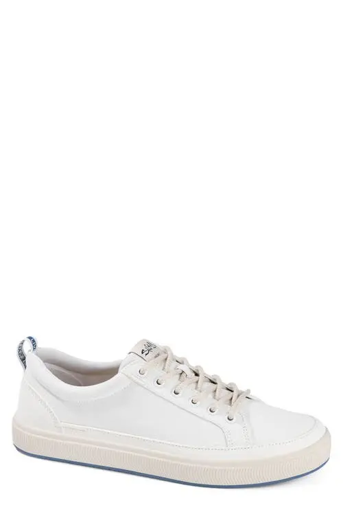 SALT LIFE The Coast Sneaker - White
