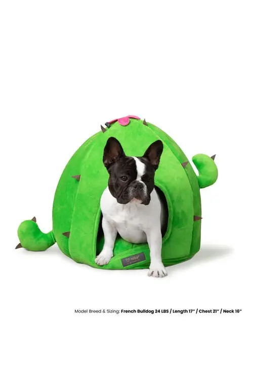 NANDOG PET GEAR Fun Collection Dog And Cat Bedcactus Hut