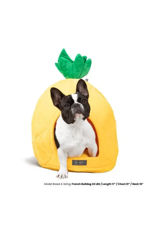 NANDOG PET GEAR Fun Collection Dog And Cat Bedpineapple Prive