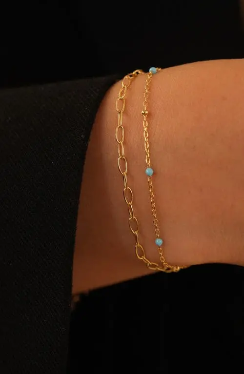 Argento Vivo Sterling Silver Plated Double Chain Bracelet