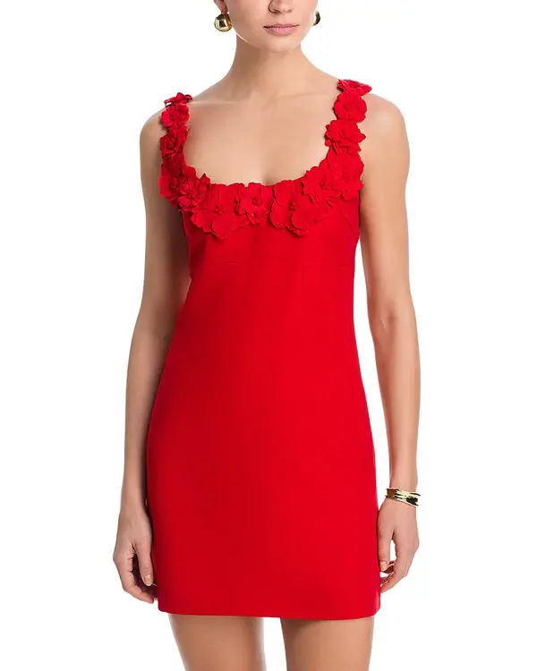 Aqua Applique Floral Mini Dress - Red