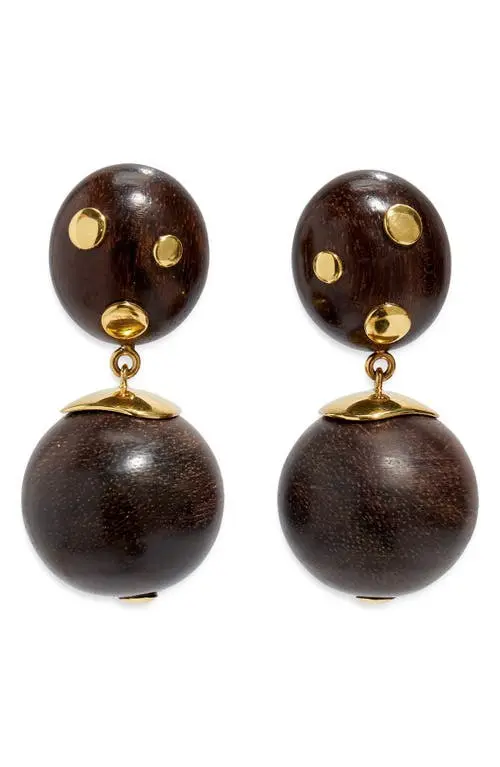 LIZZIE FORTUNATO Nopales Acacia Drop Earrings - Brown