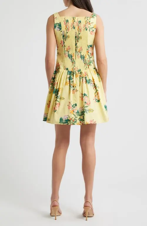 Julia Jordan Fit & Flare Poplin Dress