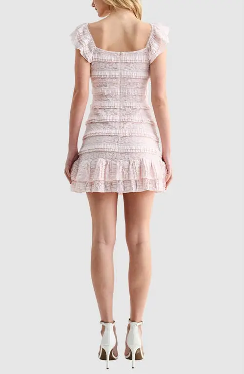 blush lace frill mini dress Sorrel Blush Lace Frill Mini Dress