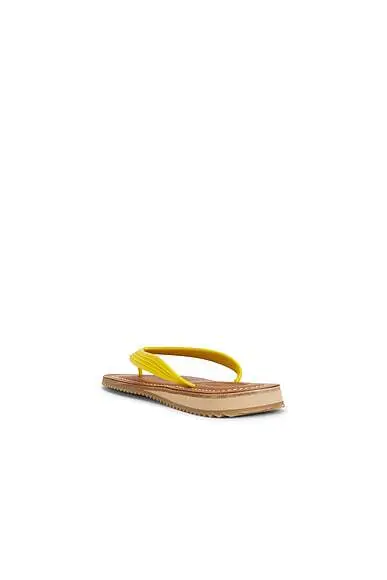 Miu Miu Infradito Sandal
