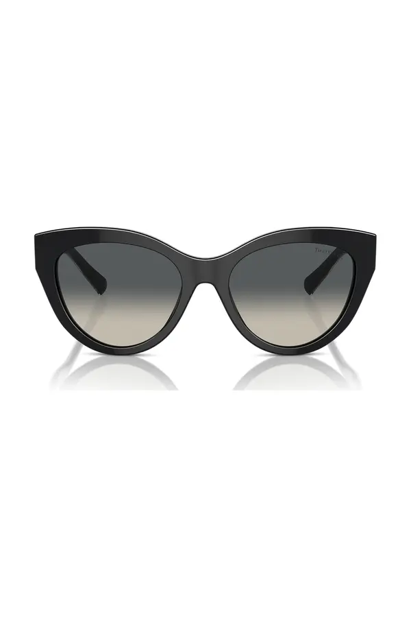 TIFFANY SUNGLASS HUT Cat-eye Sunglasses