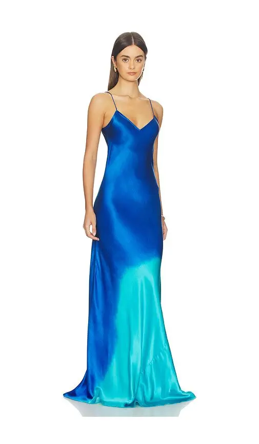 Alejandra Alonso Rojas Bias Slip Gown