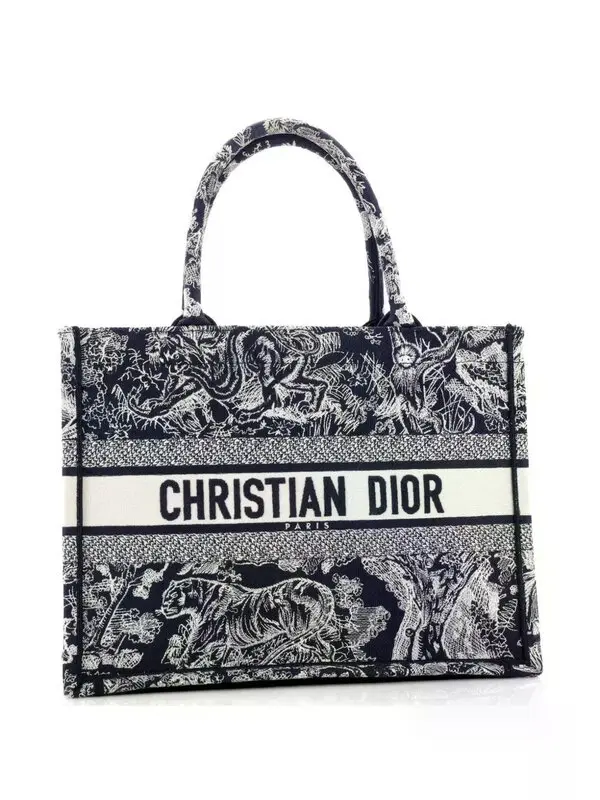 Dior Book Embroidered Canvas Medium Tote Bag - Blue