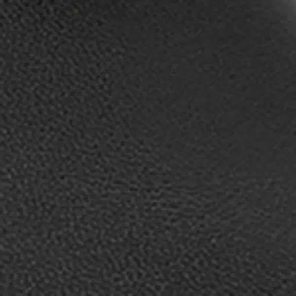 Loewe Leather Emily Heeled Mules 45 - Black