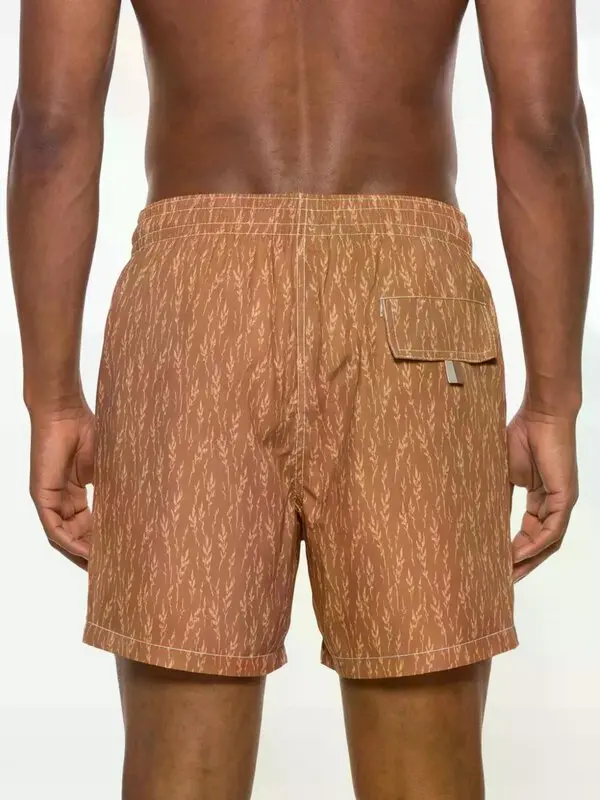 Canali Leaf-print Swim Shorts - Brown