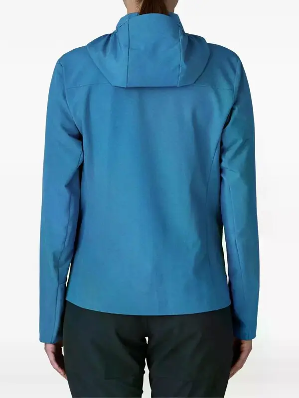 Patagonia Long-sleeve Hoodie