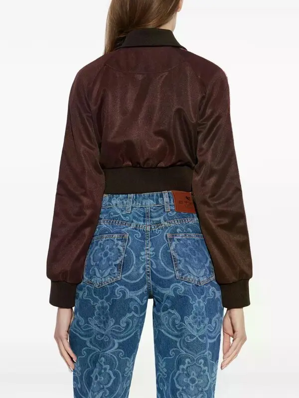 Etro Cropped Zip-up Sweatshirt With Contrasting Bands - Brown