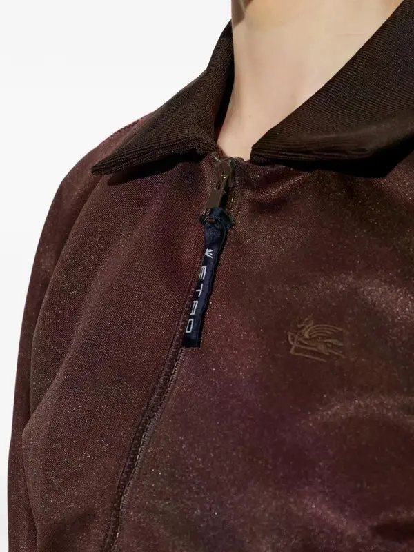 Etro Cropped Zip-up Sweatshirt With Contrasting Bands - Brown
