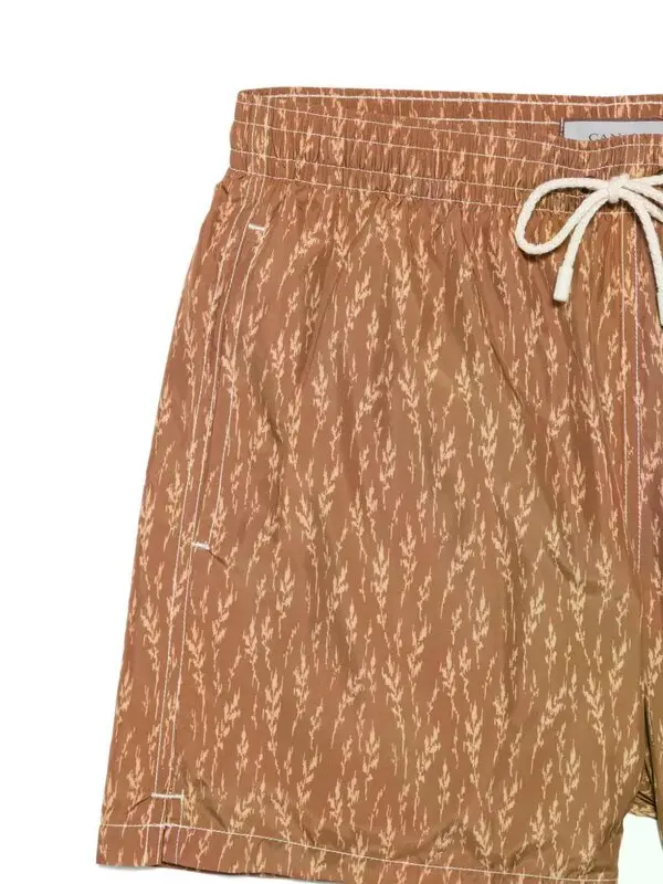 Canali Leaf-print Swim Shorts - Brown