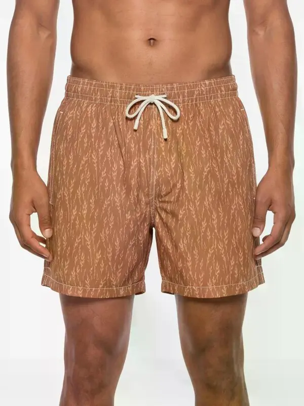 Canali Leaf-print Swim Shorts - Brown