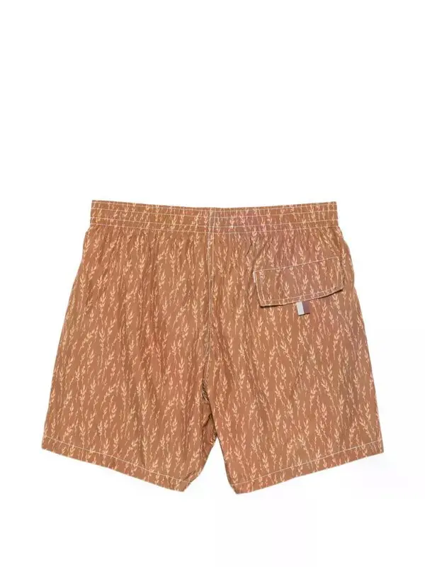 Canali Leaf-print Swim Shorts - Brown