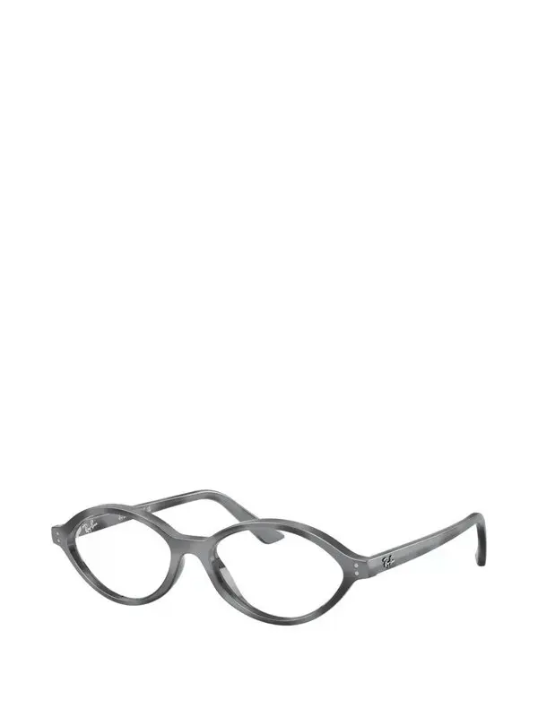 Ray-ban Oval-frame Glasses