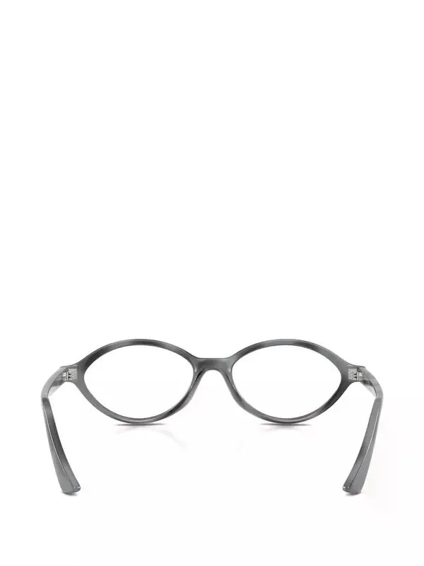 Ray-ban Oval-frame Glasses