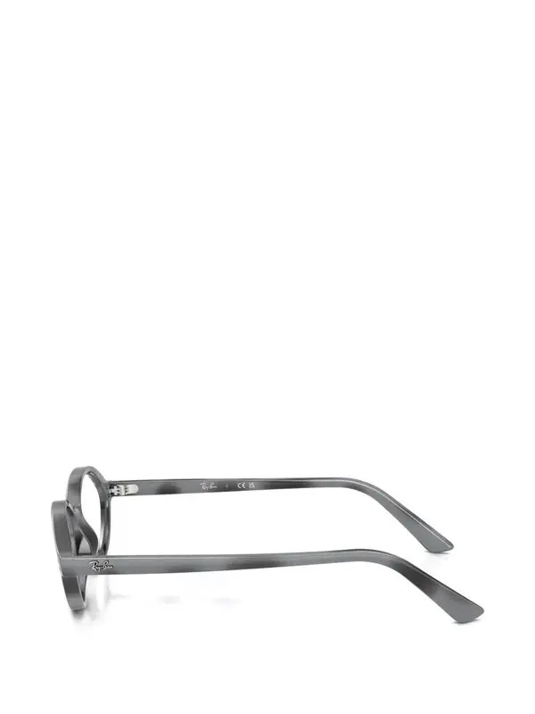 Ray-ban Oval-frame Glasses
