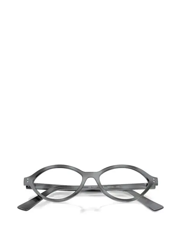 Ray-ban Oval-frame Glasses